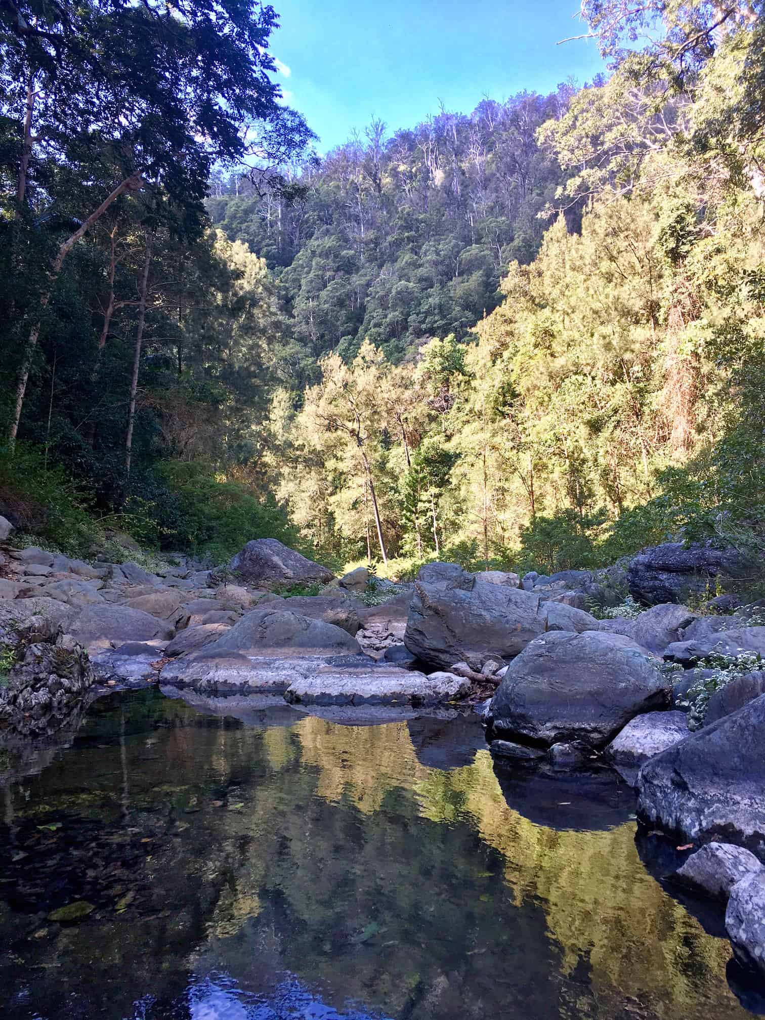Conondale National Park Walks: Booloumba Creek Falls & Mount Allan